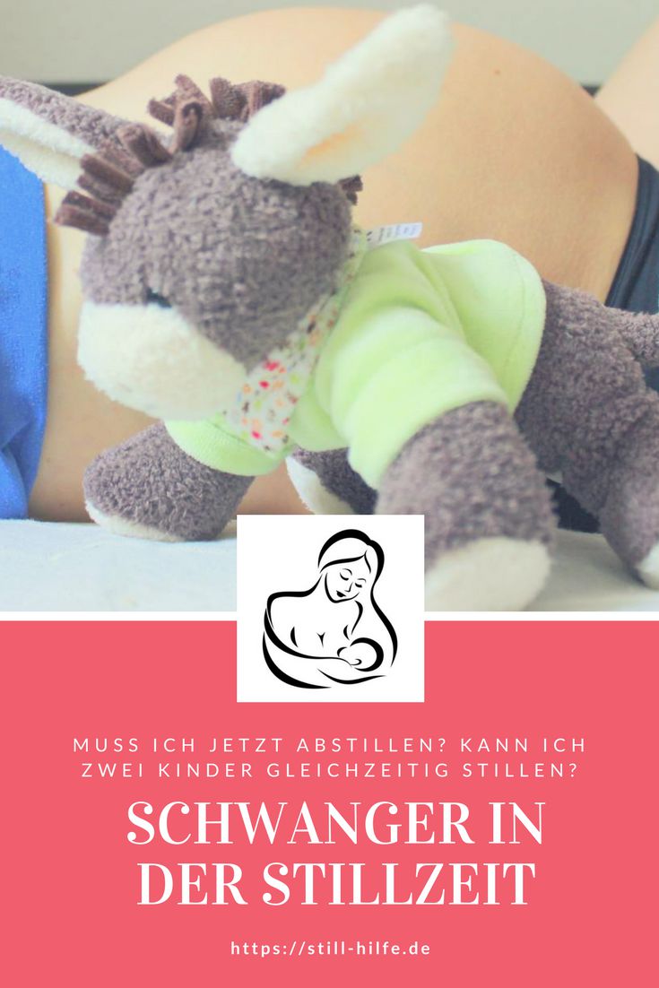 Stillen in der Schwangerschaft & Tandemstillen | Still-Hilfe.de